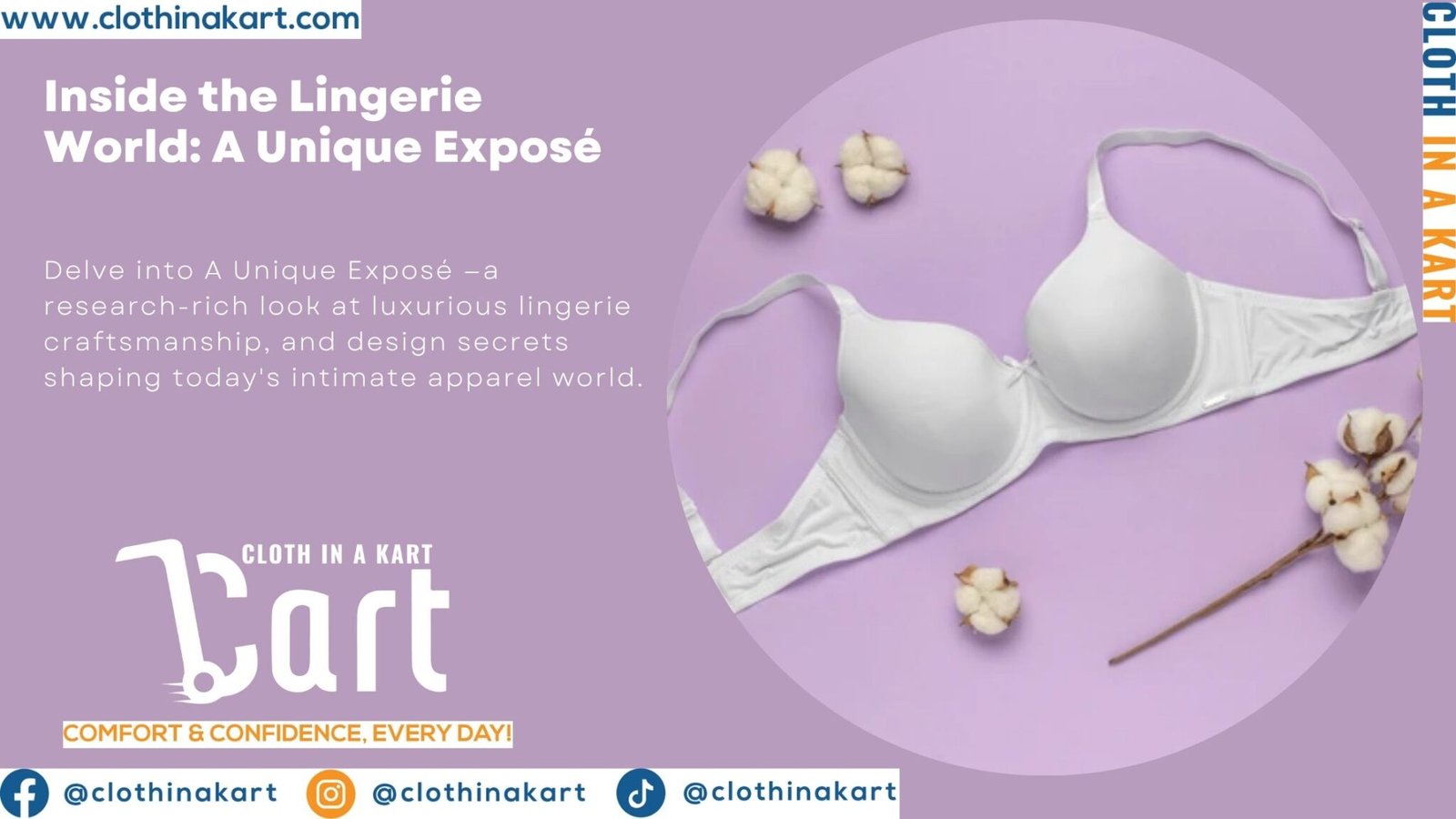 Inside the Lingerie World: A Unique Exposé - Cloth in a Kart - Comfort ...